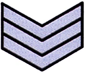 Belize, Police, 2005 | Insignias Wiki | Fandom