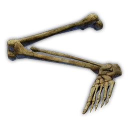 Leg Bones - Official InSomnia Wiki