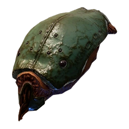 Shell - Official InSomnia Wiki