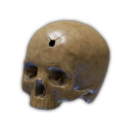 Skull - Official InSomnia Wiki
