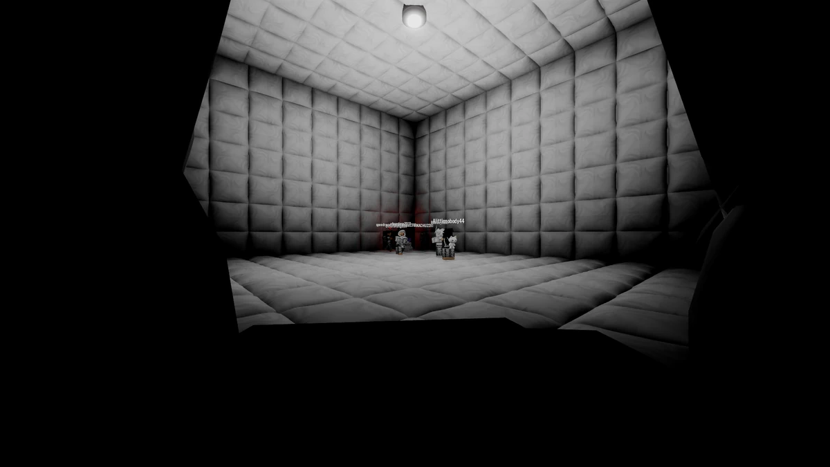 Solitary Confinement cell | InSOnI Wiki | Fandom