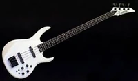 Electric Bass | The Instruments Wiki | Fandom