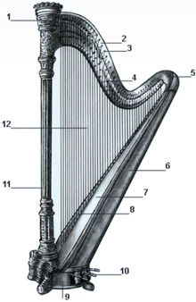 Harp | The Instruments Wiki | Fandom