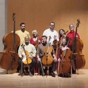 Violin family | The Instruments Wiki | Fandom