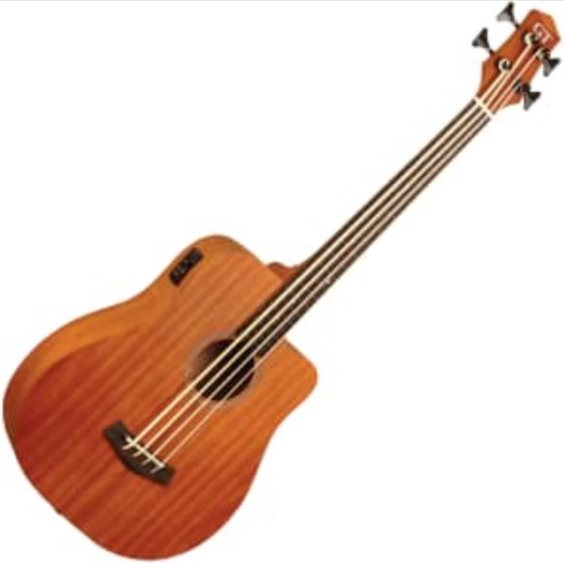 Acoustic Bass | The Instruments Wiki | Fandom