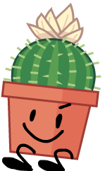 Cactus | Interdimensional Object Show II Wiki | Fandom