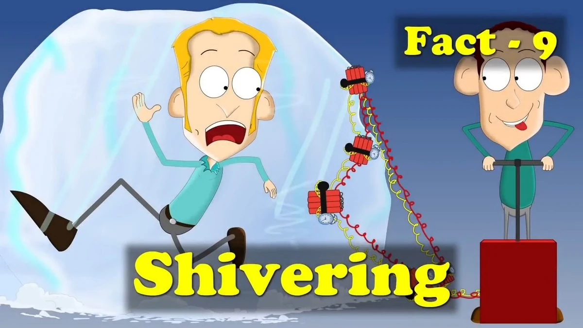 Episode 9: Shivering | Interesting Fact Time Wiki | Fandom