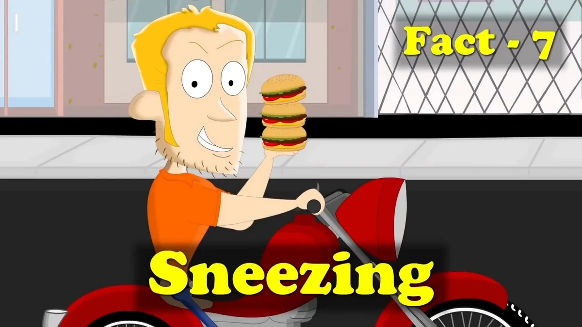Episode 7: Sneezing | Interesting Fact Time Wiki | Fandom