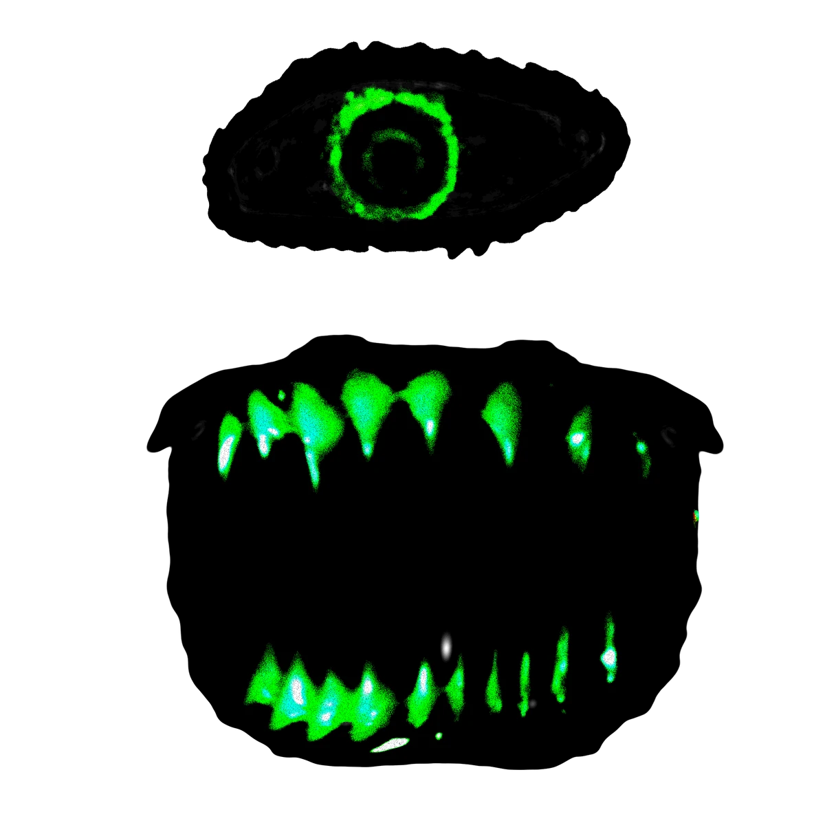 A-115 | Interminable rooms Entity raid Wiki | Fandom