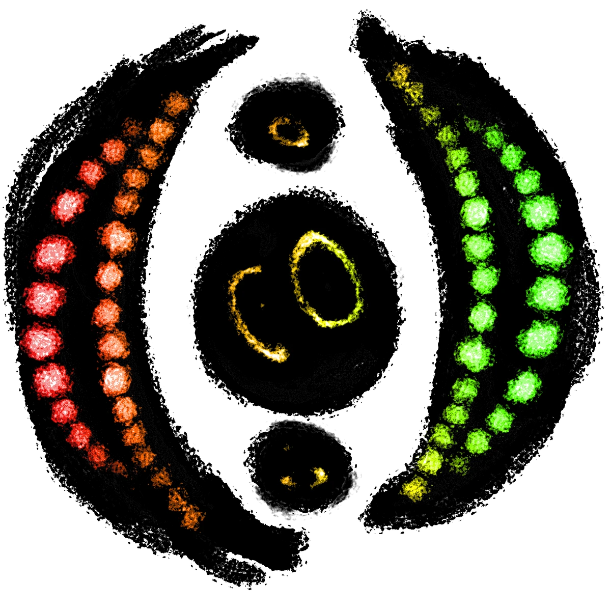 E-5 | Interminable rooms Entity raid Wiki | Fandom