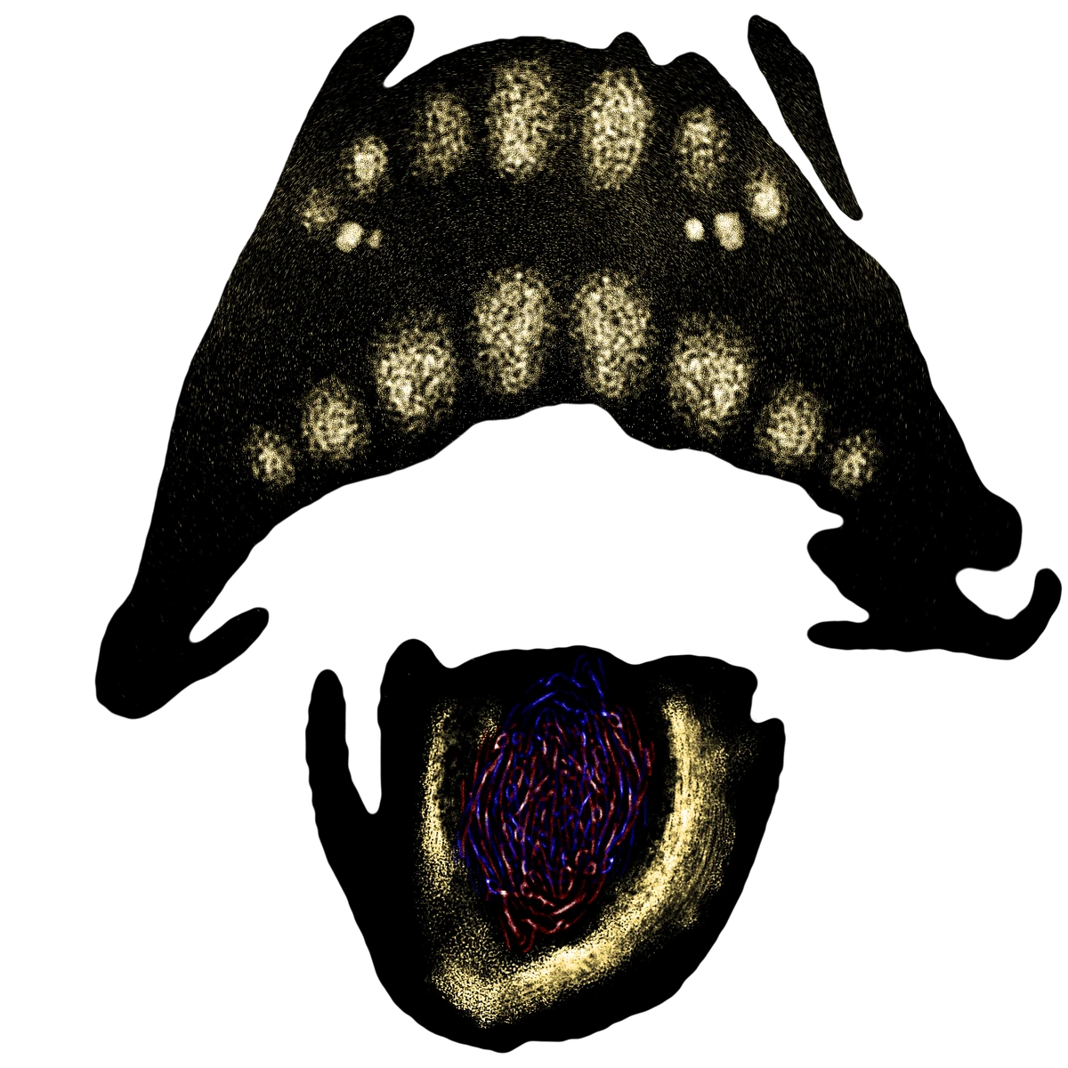 A-120 (The Computer Virus) | Interminable rooms Entity raid Wiki | Fandom