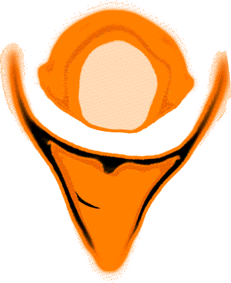 E-22 (Recreation) | Interminable Rooms Fan Ideas Wiki | Fandom