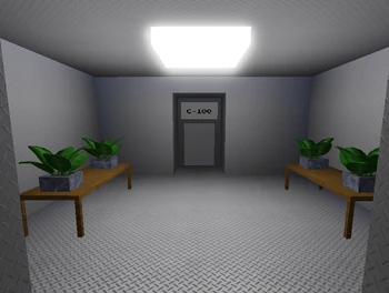 C Section (Confinement) | Interminable Rooms Fan Ideas Wiki | Fandom