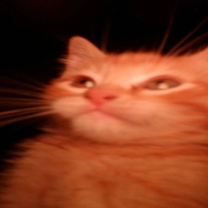 CAT-20 | Interminable Rooms Fan Ideas Wiki | Fandom