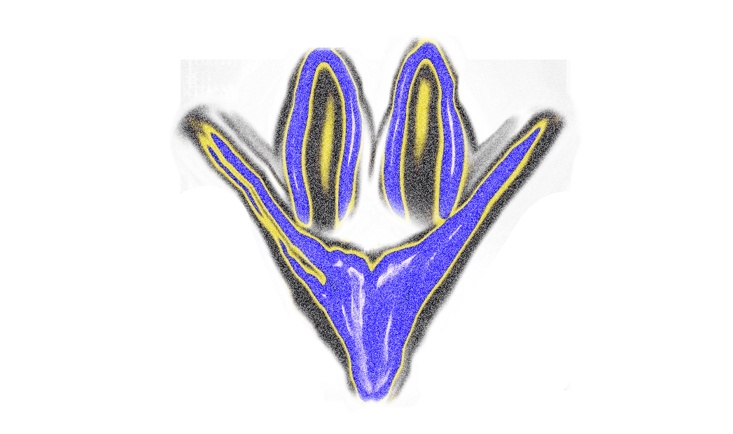 A-1000 Boss Fight | Interminable Rooms Fan Ideas Wiki | Fandom