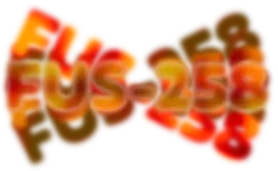 FUS-258 (The Dysfunctional) | Interminable Rooms Fan Ideas Wiki | Fandom