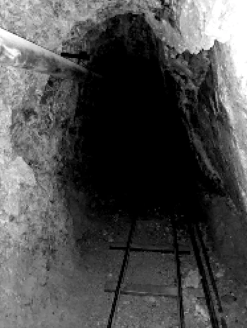 Section ꙮ | Interminable Rooms Fan Ideas Wiki | Fandom