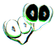 Entities | Interminable rooms: Remade Wiki | Fandom