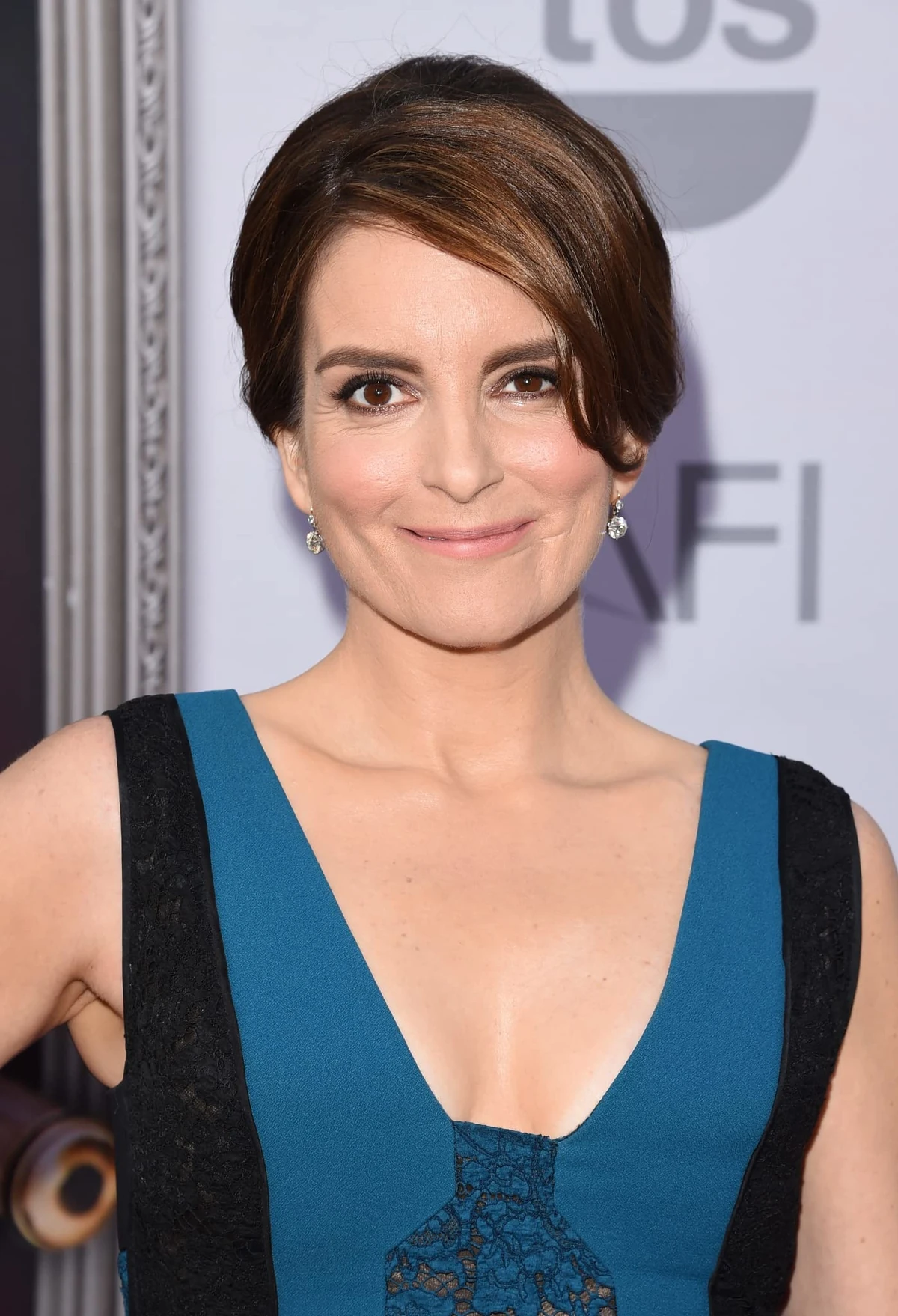 Tina Fey | International Dubbing Wiki | Fandom