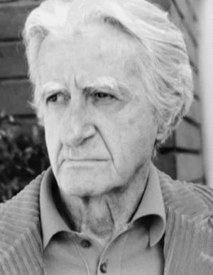 Valerio Ruggeri | International Dubbing Wiki | Fandom