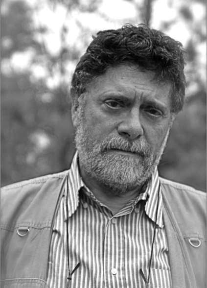Carlo Valli | International Dubbing Wiki | Fandom