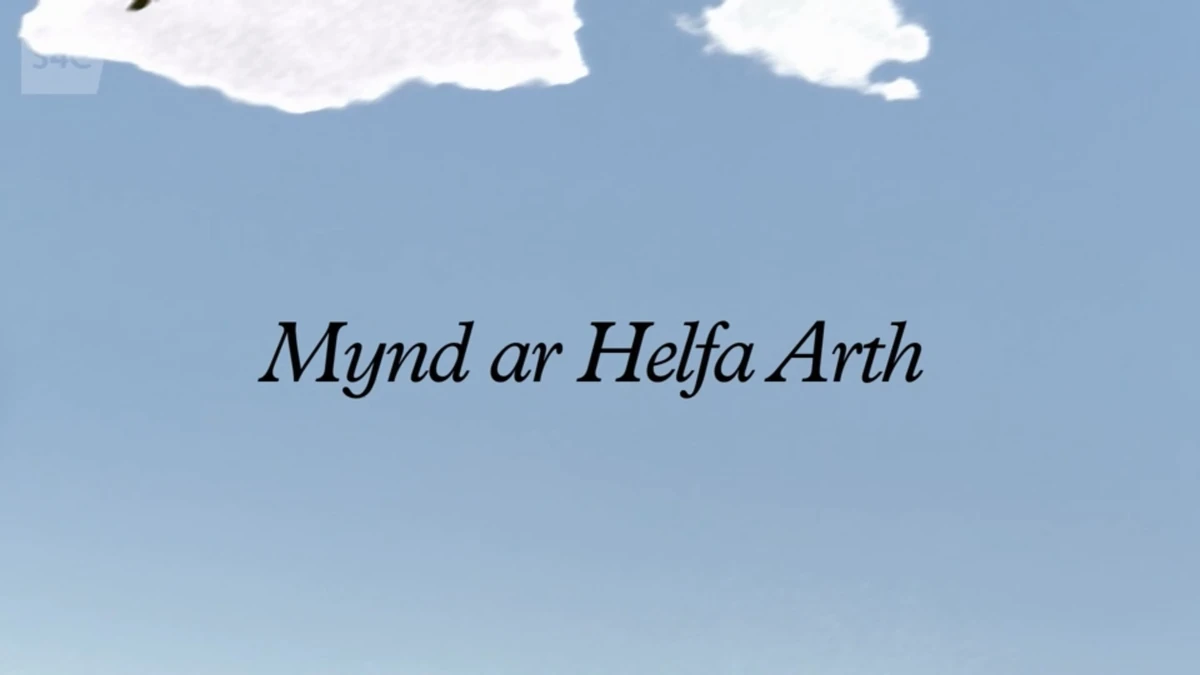 Mynd ar Helfa Arth | The Dubbing Database | Fandom