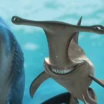 Bilinick Buscando A Nemo Blinney Finding Nemo | TikTok