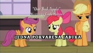 Moj mali poni | The Dubbing Database | Fandom