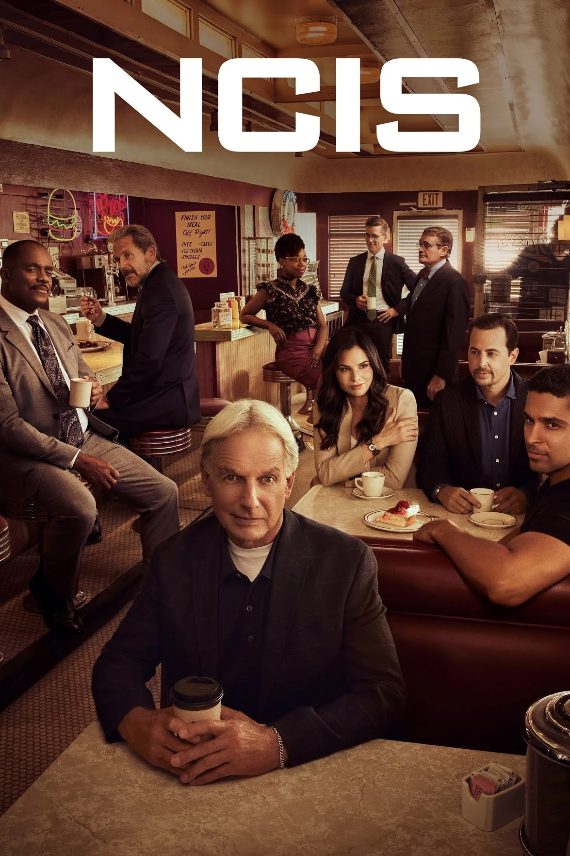 NCIS | The Dubbing Database | Fandom