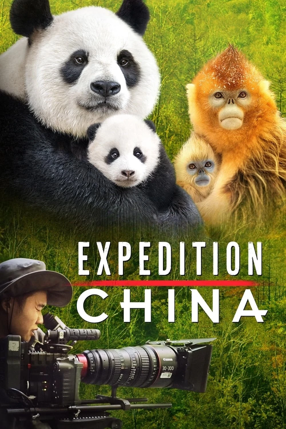 Expedition China | The Dubbing Database | Fandom