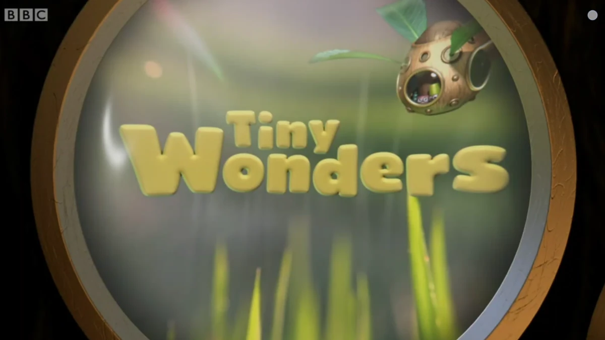 Tiny Wonders | The Dubbing Database | Fandom