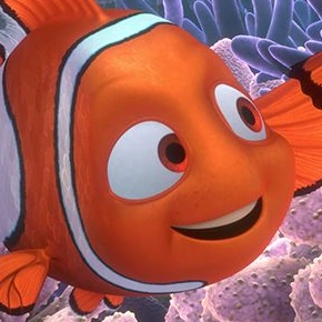 Alla Ricerca Di Nemo Personaggi Gorgogliano Pagina 1284 | Animation