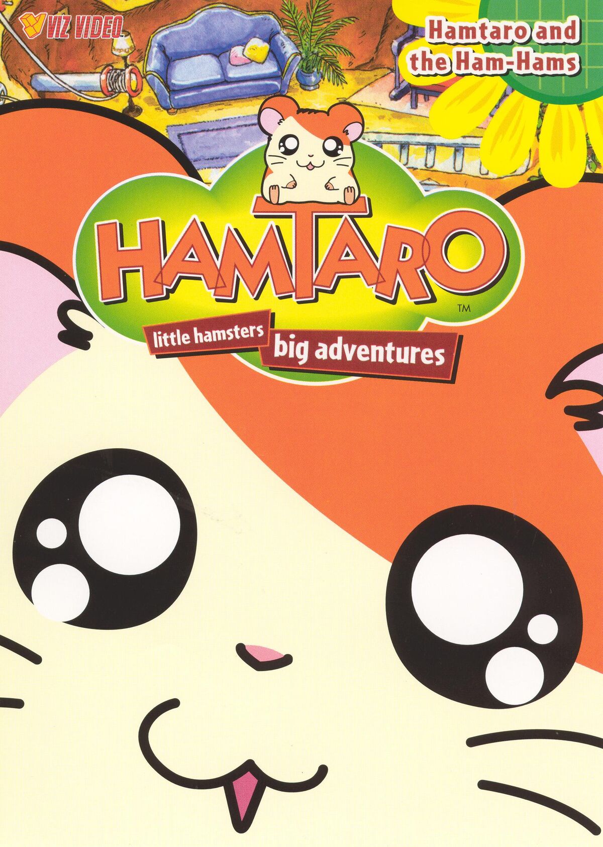 Hamtaro | The Dubbing Database | Fandom