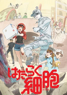 Cells at Work! | The Dubbing Database | Fandom