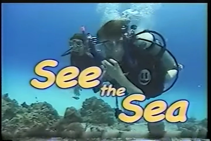 See the Sea | The Dubbing Database | Fandom