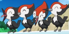 Wild Pikipek in Alola | International Pokédex Wiki | Fandom