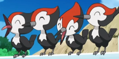 Wild Pikipek in Alola | International Pokédex Wiki | Fandom