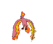 Moltres (Kantonian) | International Pokédex Wiki | Fandom