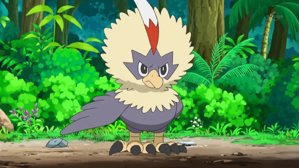 Rufflet | International Pokédex Wiki | Fandom
