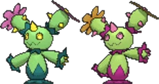 Maractus | International Pokédex Wiki | Fandom
