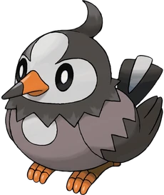 Starly | International Pokédex Wiki | Fandom