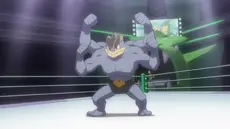 Battle Royal trainers' Machamp | International Pokédex Wiki | Fandom