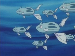 Remoraid | International Pokédex Wiki | Fandom