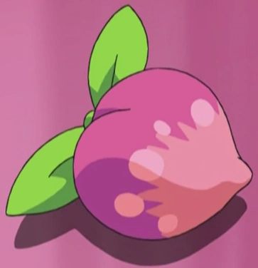 Pecha Berry | International Pokédex Wiki | Fandom