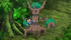 Trevenant | International Pokédex Wiki | Fandom