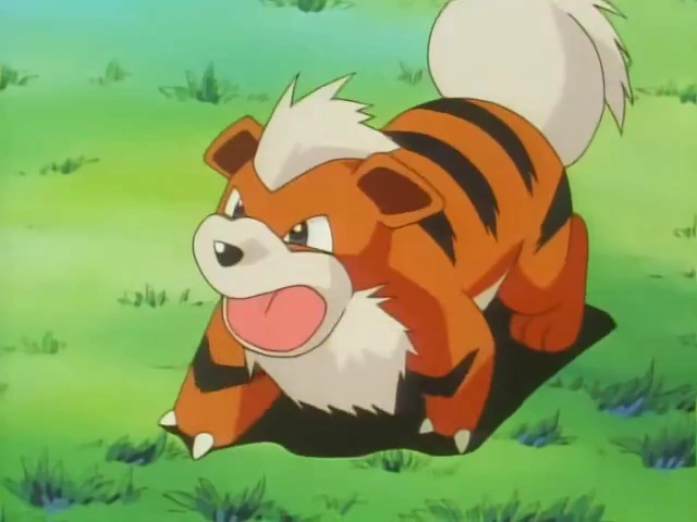 Lara's Growlithe | International Pokédex Wiki | Fandom