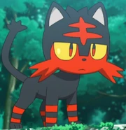 Ash's Incineroar | International Pokédex Wiki | Fandom