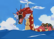 Red Gyarados | International Pokédex Wiki | Fandom