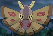 Dustox | International Pokédex Wiki | Fandom