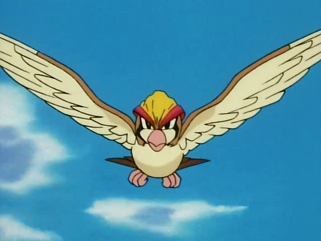 Pidgeot | International Pokédex Wiki | Fandom